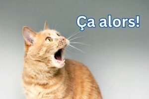 How to express surprise in French - essential phrases you should know