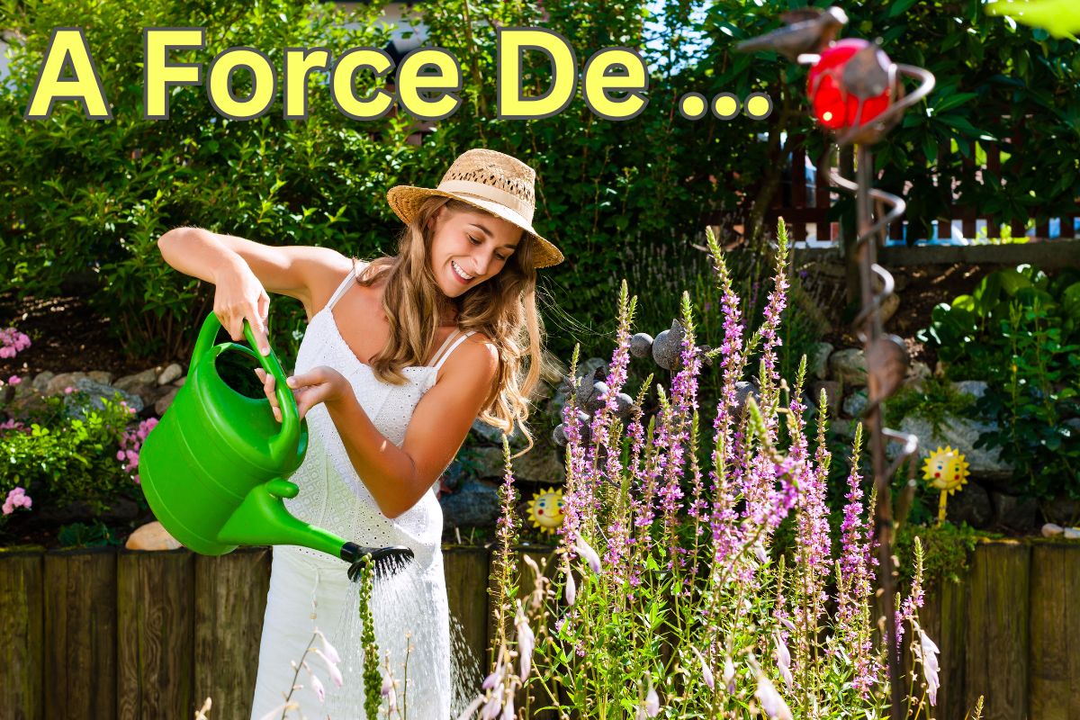 French Expression: "A Force De..." (with audio and examples)