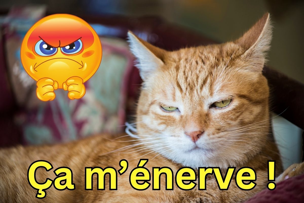 Everyday Spoken French: "Ça m'énerve!" (+ Other Phrases for Being Annoyed)