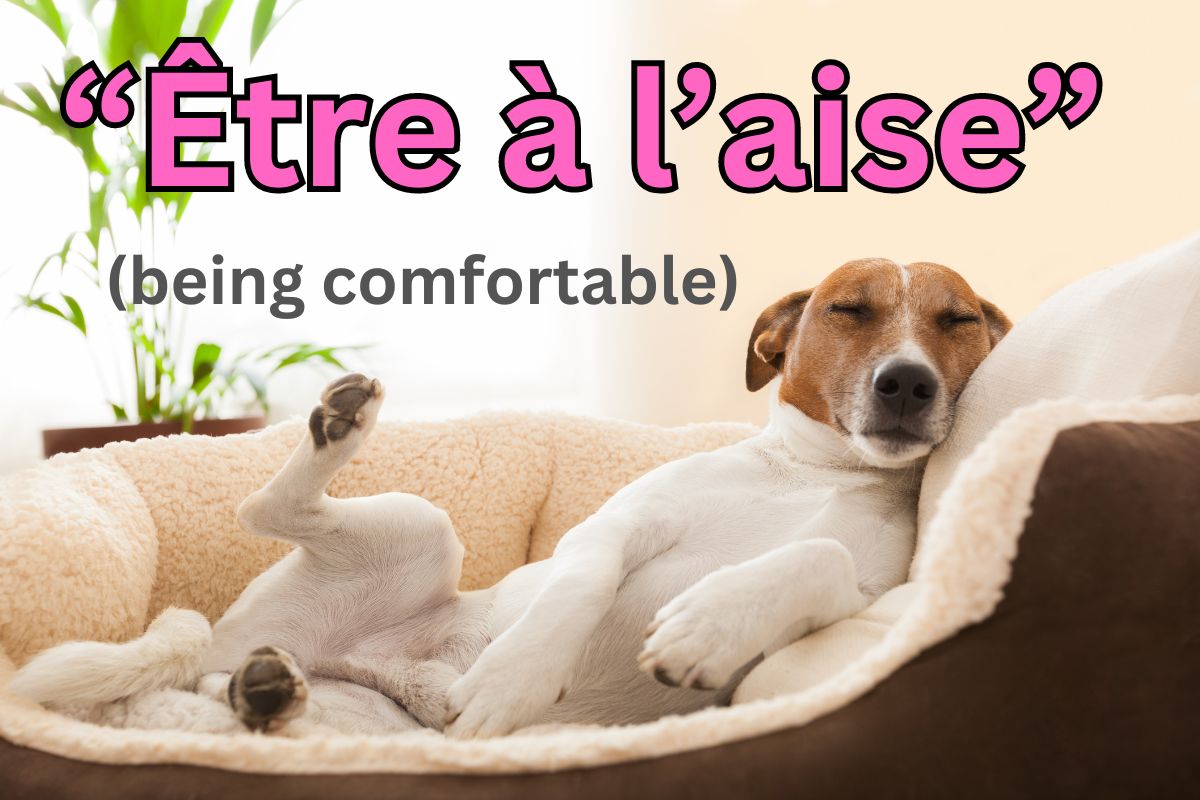 French Phrase: "Etre à l'Aise"