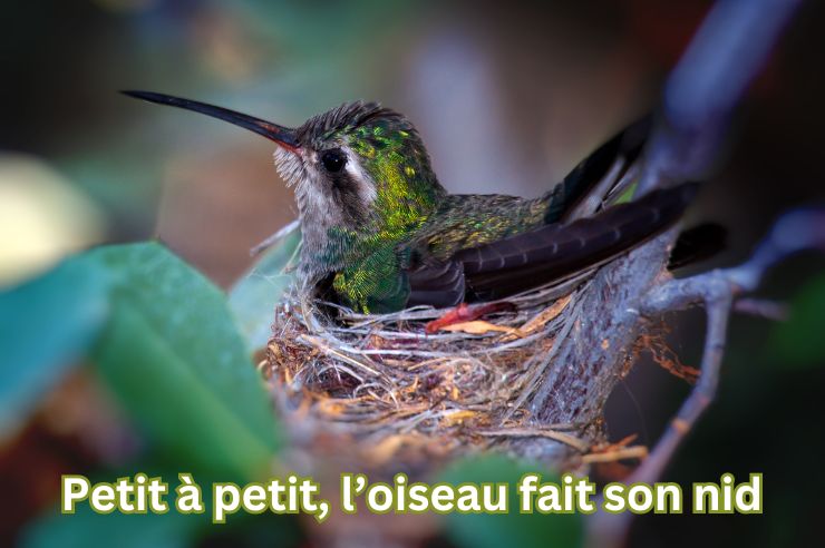 12 Charming French Phrases That Will Melt Your Heart