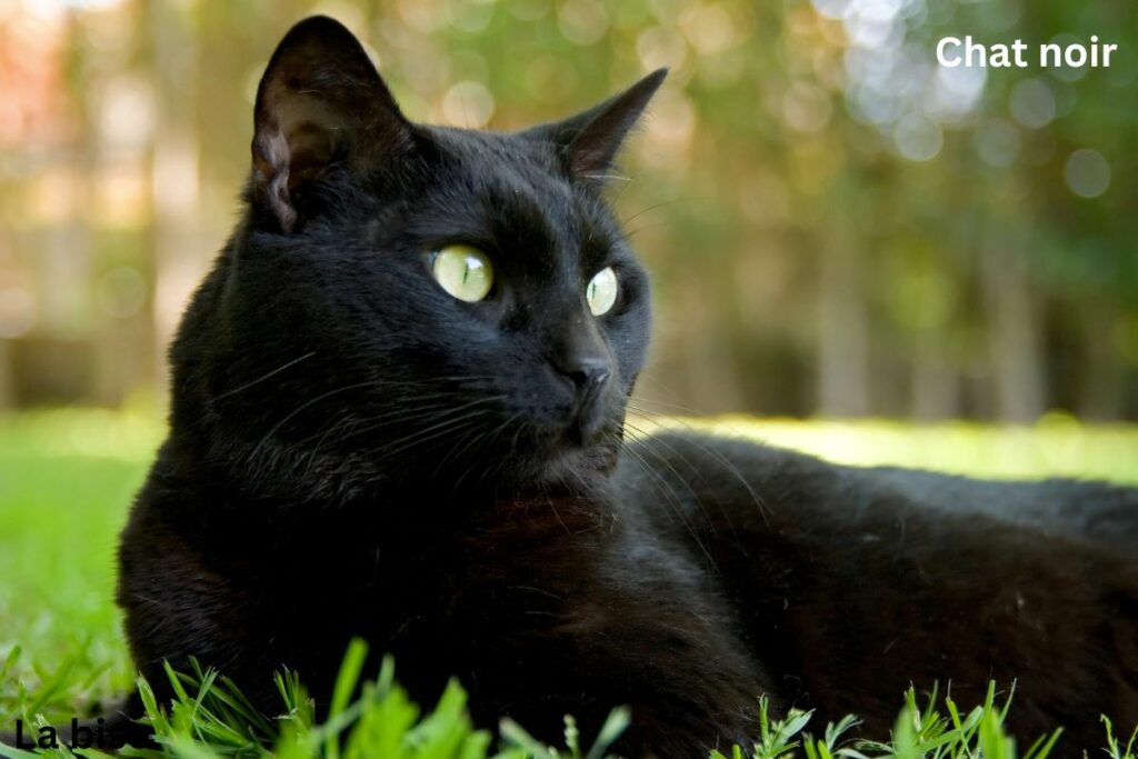 French Superstitions You Probably Didn’t Know About